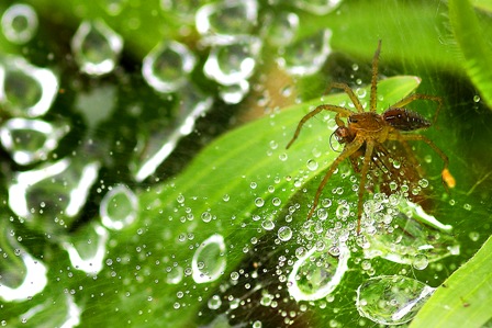 Borneo Tropical Rainforest Resort