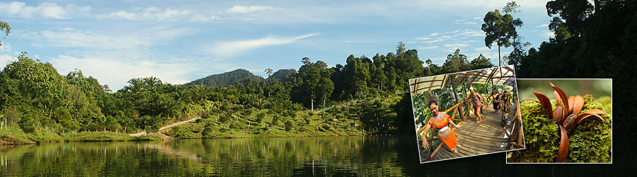 Borneo Tropical Rainforest Resort